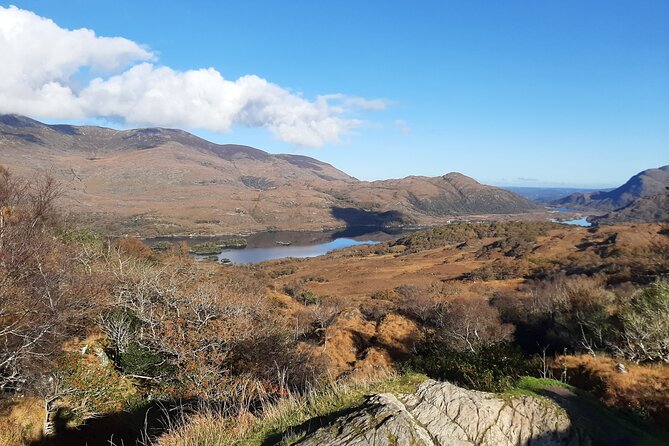 Private Tour Of, Blarney Castle, Cork City and Kinsale - Exploring Blarney Castle