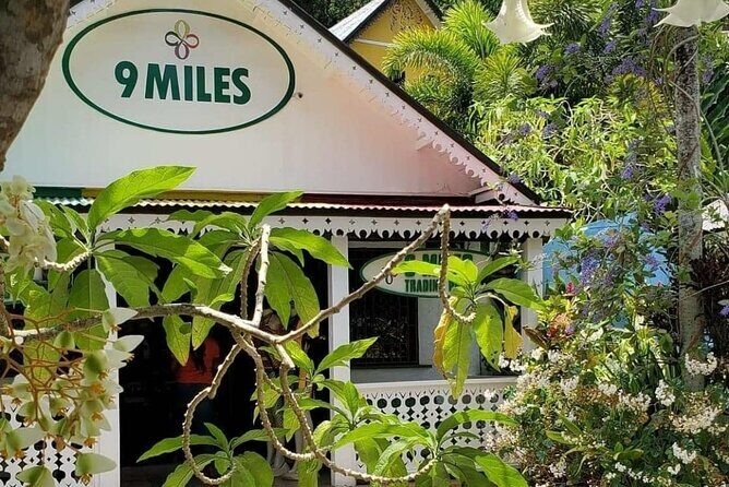 Private Tour of Bob Marley Nine Miles from Montego Bay - A Closer Look at the Itinerary