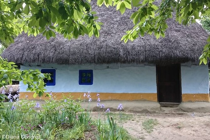 Private Tour of Bucharest's Historical and Traditional Highlights - Itinerary Breakdown: What You’ll Experience