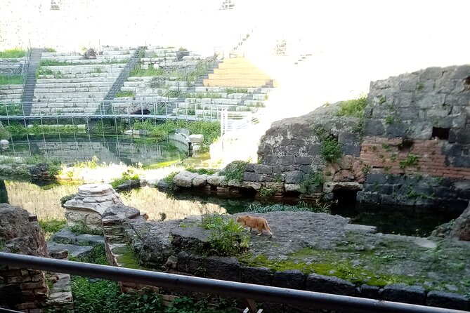 Private tour of Catania and the Riviera of the Cyclops - Why the Tour Offers Great Value