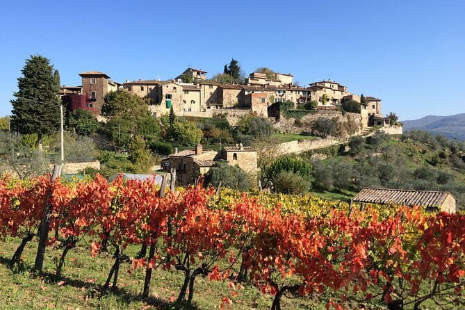Private Tour of Chianti Siena and San Gimignano by Minivan - Practical Tips and Considerations