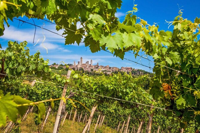 Private Tour Of Chianti with Wine Tastings - Practical Details and Considerations