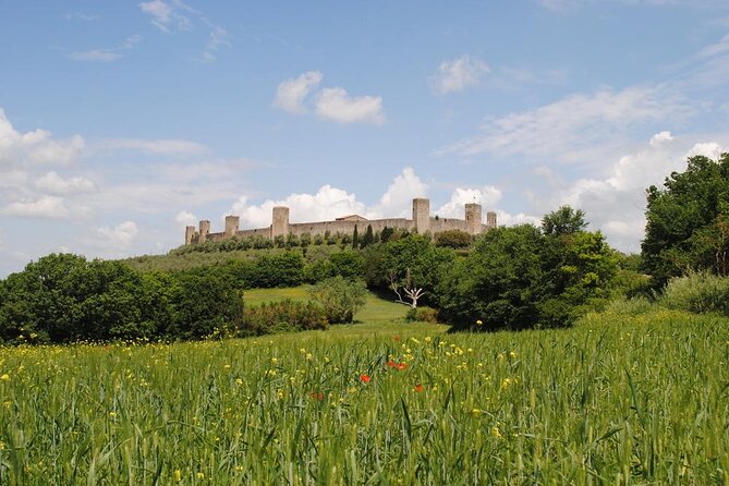 Private Tour Of Chianti with Wine Tastings - Authenticity and Value