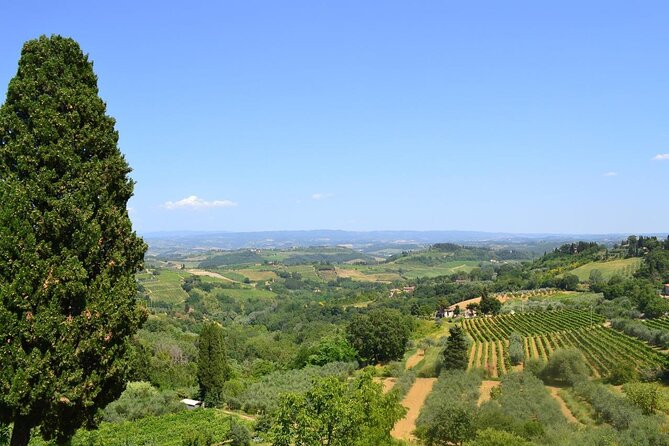 Private Tour Of Chianti with Wine Tastings - FAQ