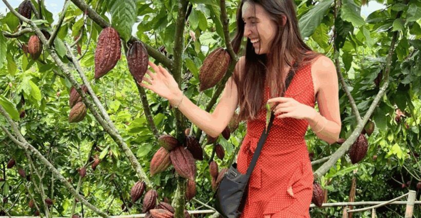 Private Tour of Chocolate Plantation and Processing - Key Points