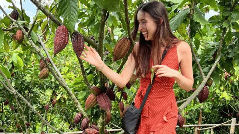 Private Tour of Chocolate Plantation and Processing - Final Thoughts