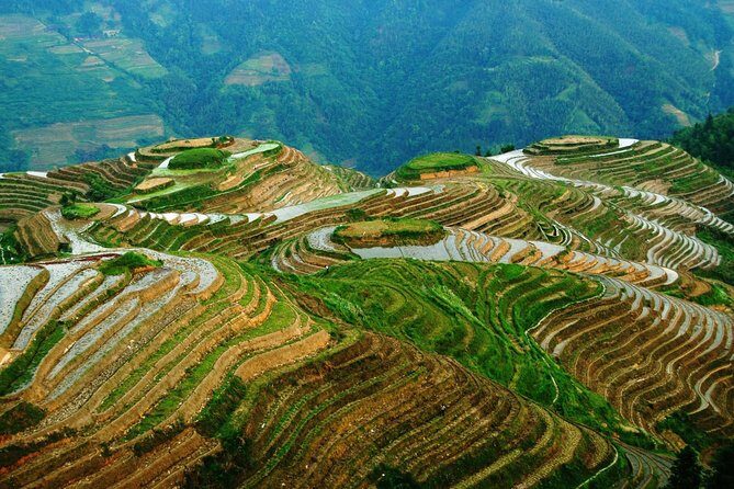Private Tour of Dragon's Backbone Rice Terraces in Longsheng - Practical Details and Considerations