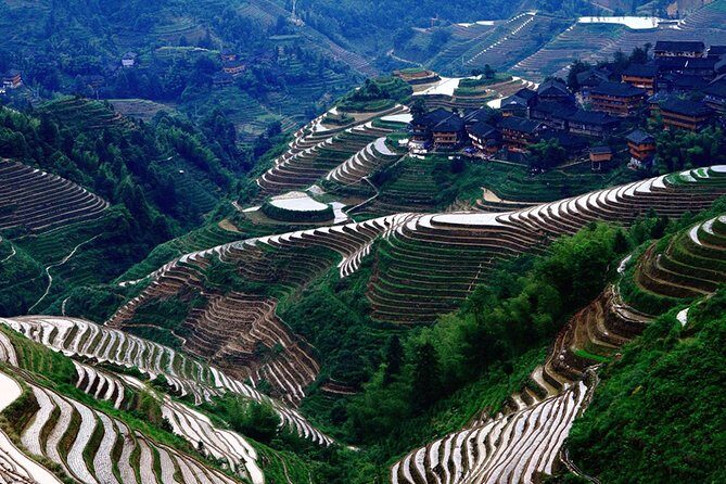 Private Tour of Dragon's Backbone Rice Terraces in Longsheng - Real Traveler Insights and Feedback