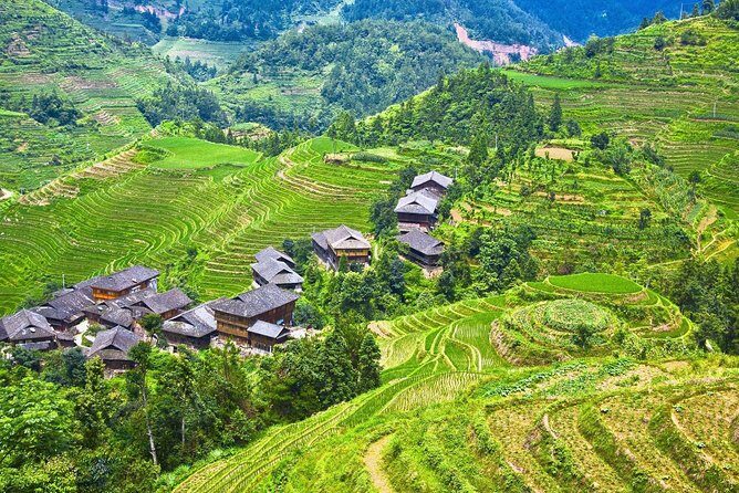 Private Tour of Dragon's Backbone Rice Terraces in Longsheng - Why Choose This Tour?