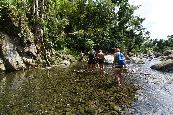 Private Tour of El Yunque Rainforest from San Juan - A Closer Look at the Tour
