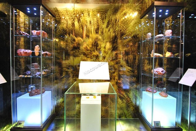 Private Tour of Gdansk Old Town for Kids and Families - The Motlawa River Embankment