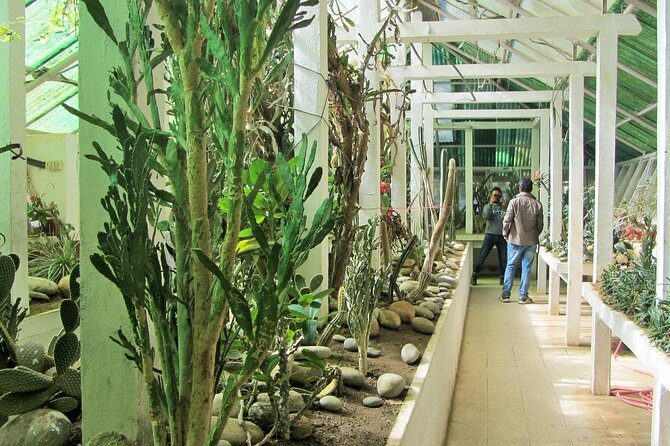 Private Tour of Godawari Botanical Garden Including Lunch - Transport & Comfort