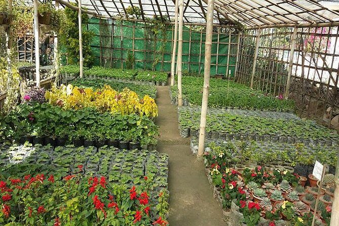 Private Tour of Godawari Botanical Garden Including Lunch - Final Thoughts