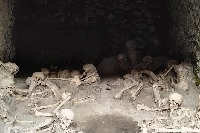 Private Tour Of Herculaneum & Mount Vesuvius - FAQ