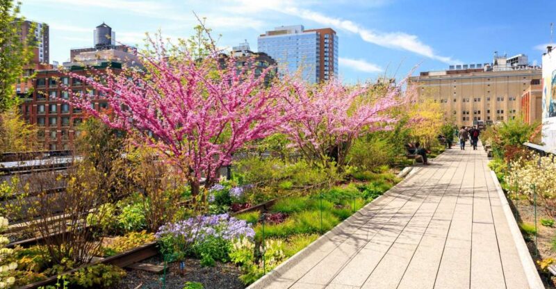 Private Tour of High Line, Chelsea, Hudson Yards and Edge - Final Thoughts