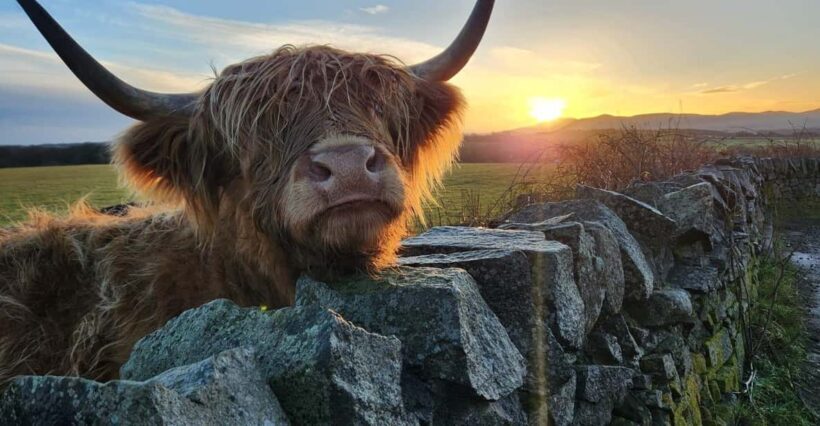 Private Tour of Highlands, Lochs & Castles from Edinburgh - The Moor and Kelpies