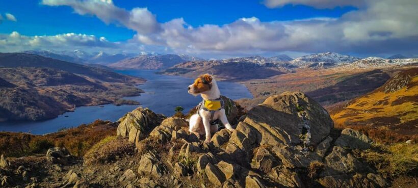 Private Tour of Highlands, Lochs & Castles from Edinburgh - What Makes This Tour Stand Out?