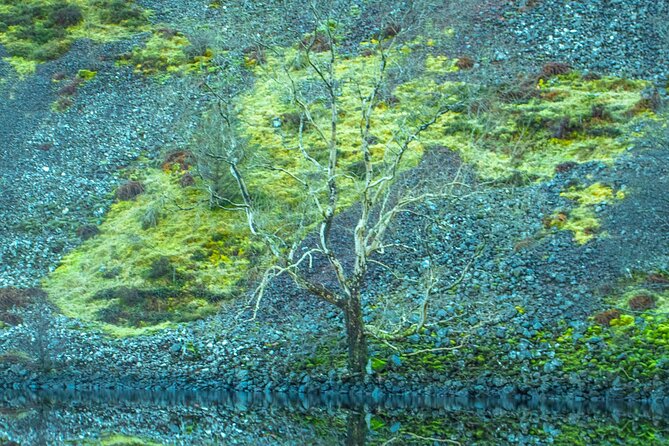 Private Tour of Highlands, Oban, Glencoe, Lochs & Castles From Glasgow - Scenic Views and Historical Insights