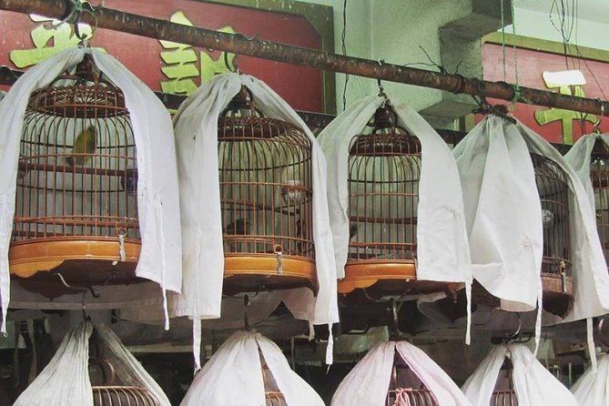 Private tour of Hong Kong - First timers - Who Is This Tour Best For?