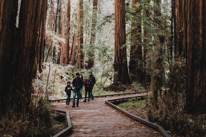 Private Tour of John Muir Redwoods and Sausalito - What Travelers Can Expect