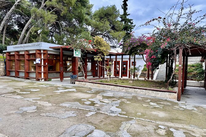 Private Tour of Knossos, Archaeological Museum & Heraklion Town - Who Is This Tour Best For?