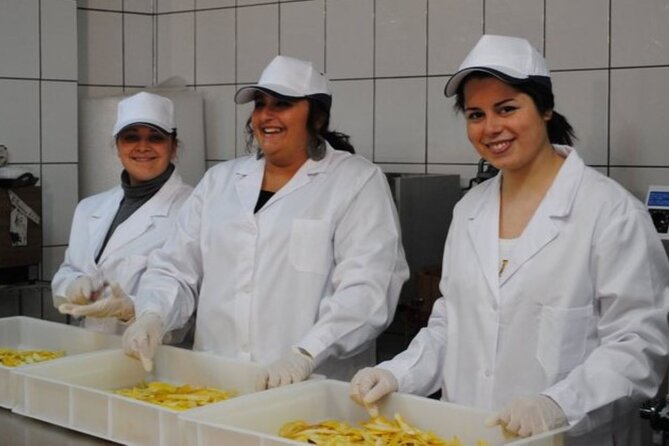 Private tour of limoncello igp with tasting by the sea - Key Points