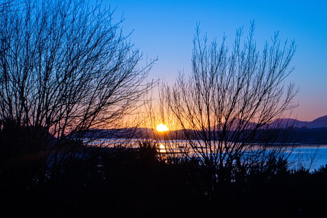 Private Tour of Loch Ness, Glencoe and Highlands From Edinburgh - Traveler Reviews and Feedback