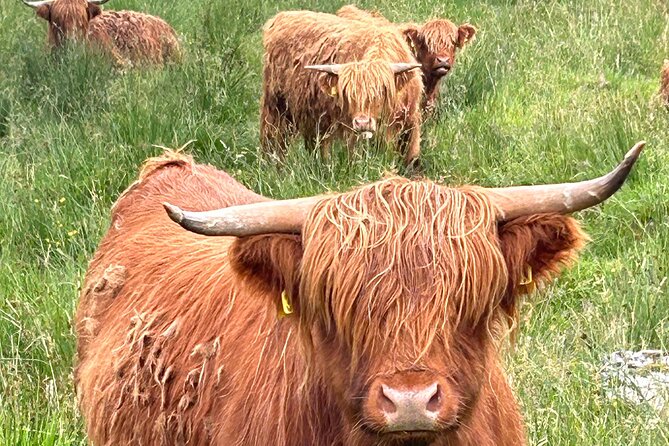 Private Tour of Loch Ness, Glencoe and Highlands From Edinburgh - Exploring Loch Ness