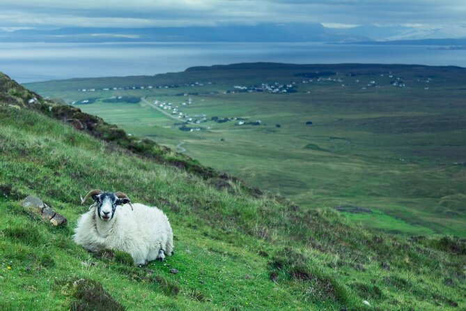 Private Tour of Loch Ness, Glencoe and Highlands from Glasgow - FAQs