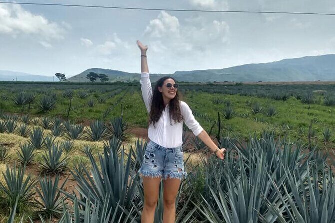 Private Tour of Magic Town Tequila Adventure Day Tour - A Deep Dive into the Tour Experience