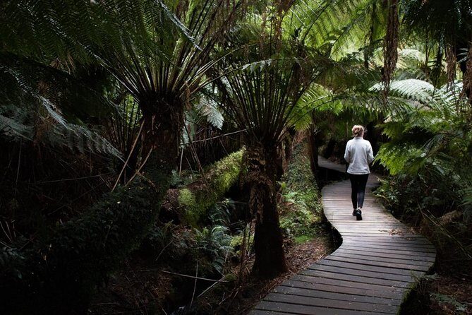 Private Tour of Melbourne - FAQs