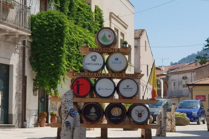 Private Tour of Mount Etna and Etna Winery Visit with Tasting from Syracuse - Who Should Consider This Tour?