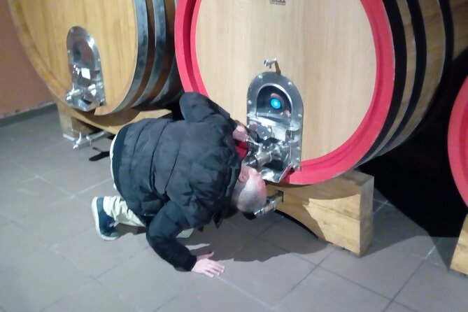 Private Tour of Mount Etna With Etna Doc Wine Tasting - Wine Tasting Experience at Gambino Winery