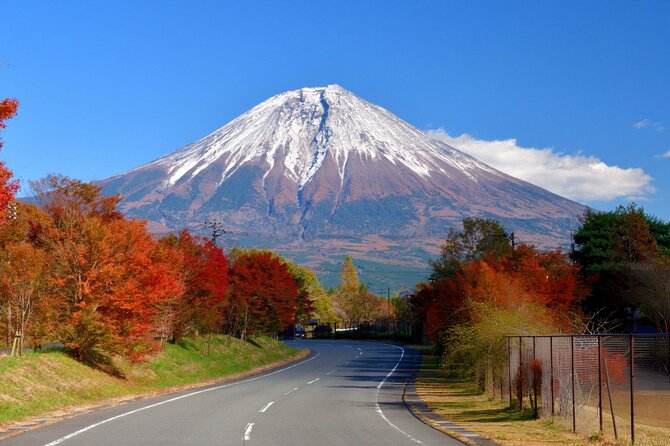Private Tour of Mount Fuji With Kawaguchi Lake and Oshino Hakkai - Pickup and Dropoff