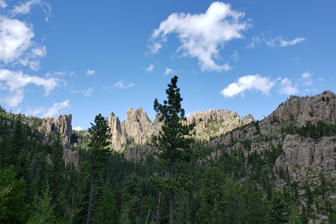Private Tour of Mount Rushmore, Crazy Horse and Custer State Park - Custer State Park