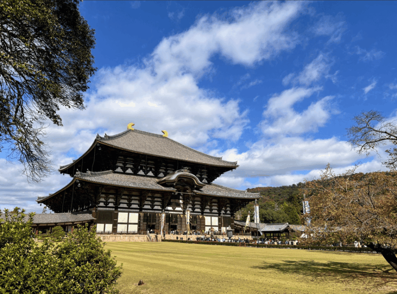 Private Tour of Nara With an English/Spanish-Speaking Guide - Marveling at Nandai-mon Gate