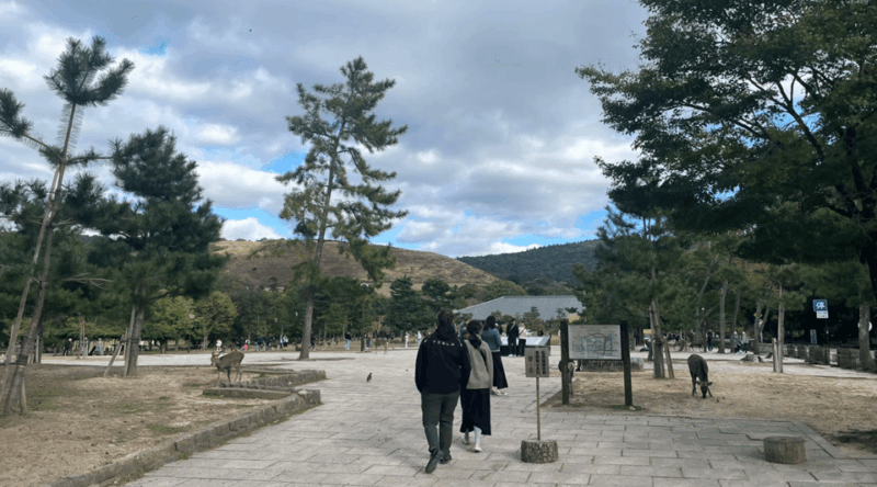 Private Tour of Nara With an English/Spanish-Speaking Guide - Frequently Asked Questions