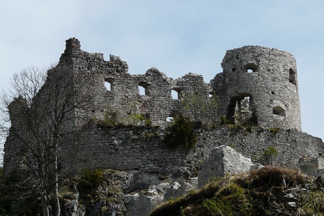 Private Tour of Neuschwanstein Castle & Highline 179 From Munich - Maximizing Your Experience: Tour Tips and Best Practices