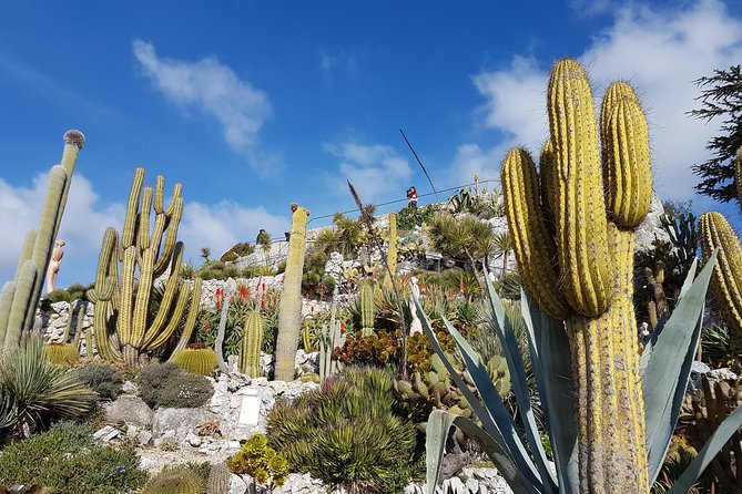 Private Tour of Nice, Monaco & Eze with a local guide - FAQs