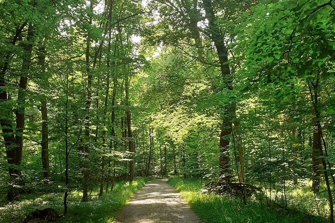 Private Tour of Nymphenburg Palace and Gardens - Visitor Reviews and Testimonials