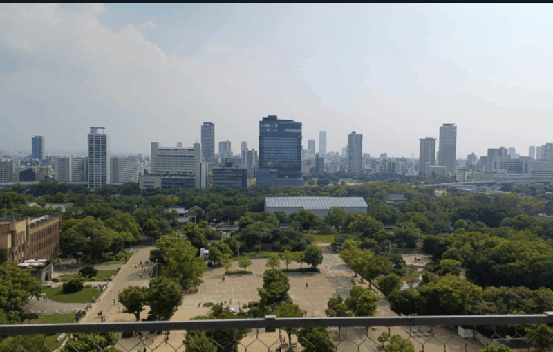 Private Tour of Osaka With A Spanish-Speaking Guide - Key Points