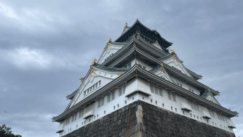 Private Tour of Osaka With A Spanish-Speaking Guide - Restrictions and Prohibited Items