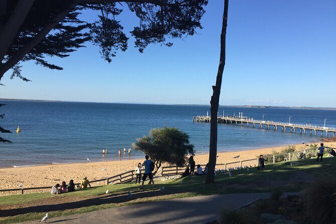 Private Tour of Phillip Island & Penguins with personal tour guide - The Itinerary: What to Expect at Each Stop