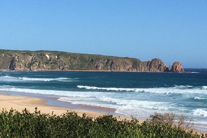 Private Tour of Phillip Island & Penguins with personal tour guide - Analyzing the Value