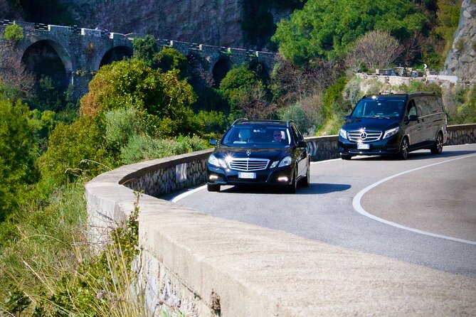 Private Tour of Pompeii and the Amalfi Coast from Sorrento or Naples - From the Reviews: Authentic Perspectives