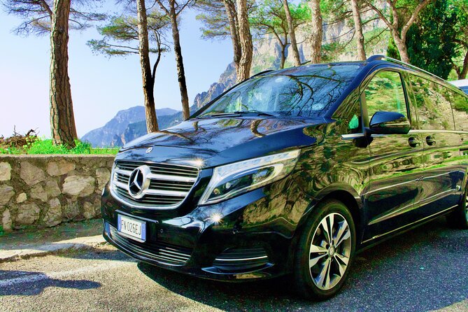 Private tour of Pompeii and Vesuvius from Sorrento or Naples - Who Will Enjoy This Tour?