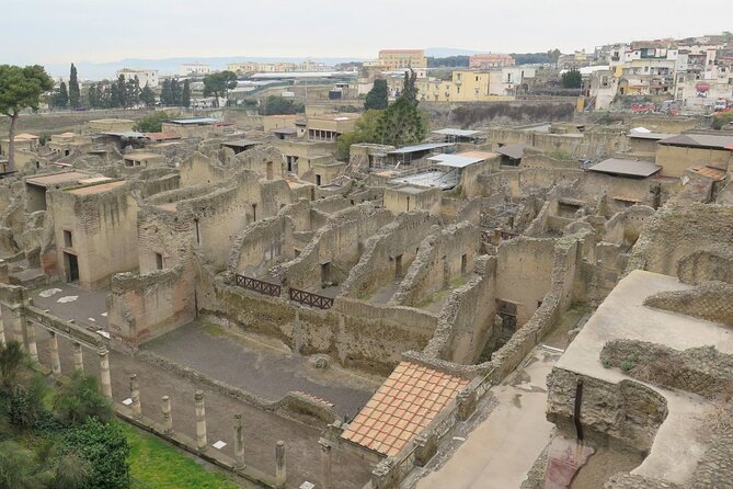 Private Tour of Pompeii, Herculaneum and Vesuvius from Naples - Timing and Flexibility