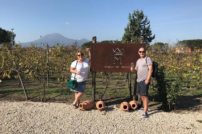 Private Tour of Pompeii Ruins + Organic Wine and Lunch Tasting - Meeting Point and Pickup
