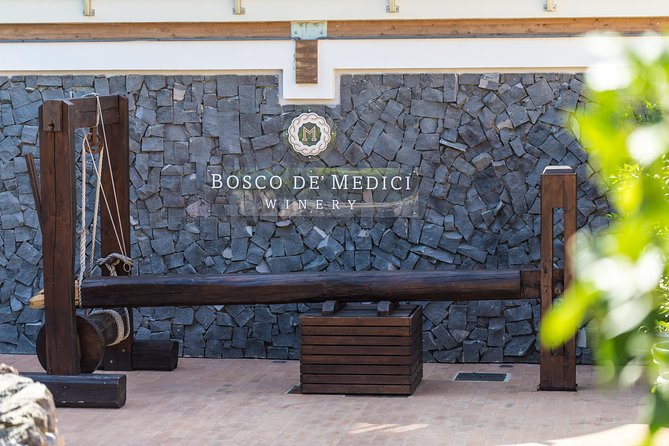 Private Tour of Pompeii Ruins + Organic Wine and Lunch Tasting - Accessibility and Dietary Accommodations