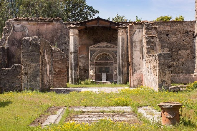 Private Tour of Pompeii with official tour guide and skip the line tickets - Who Should Consider This Tour?